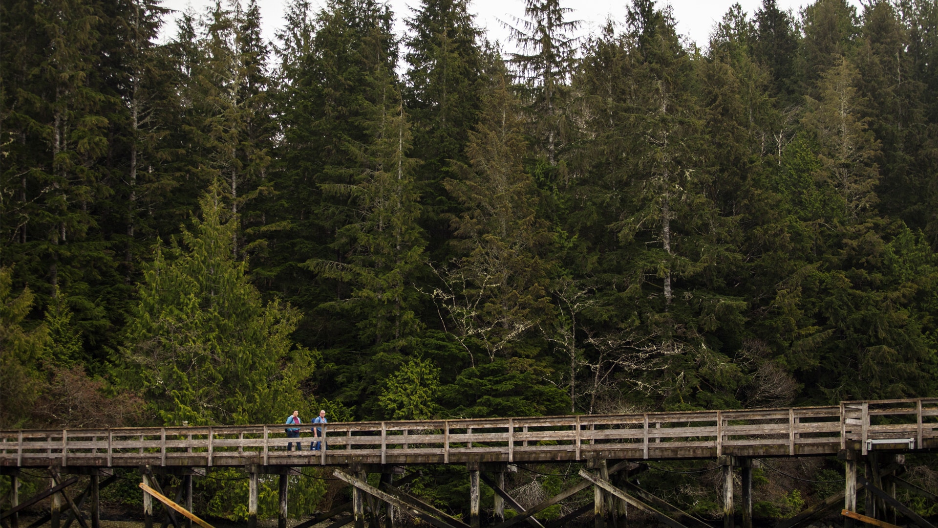 Car & Van Hire - Surrey | Enterprise Rent-A-Car